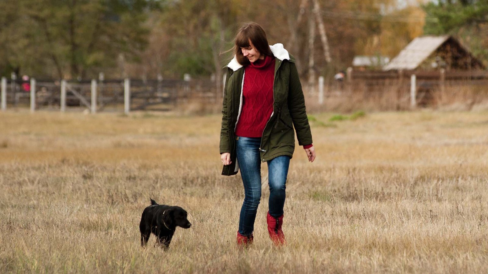 Dogs and Their Relationship with People