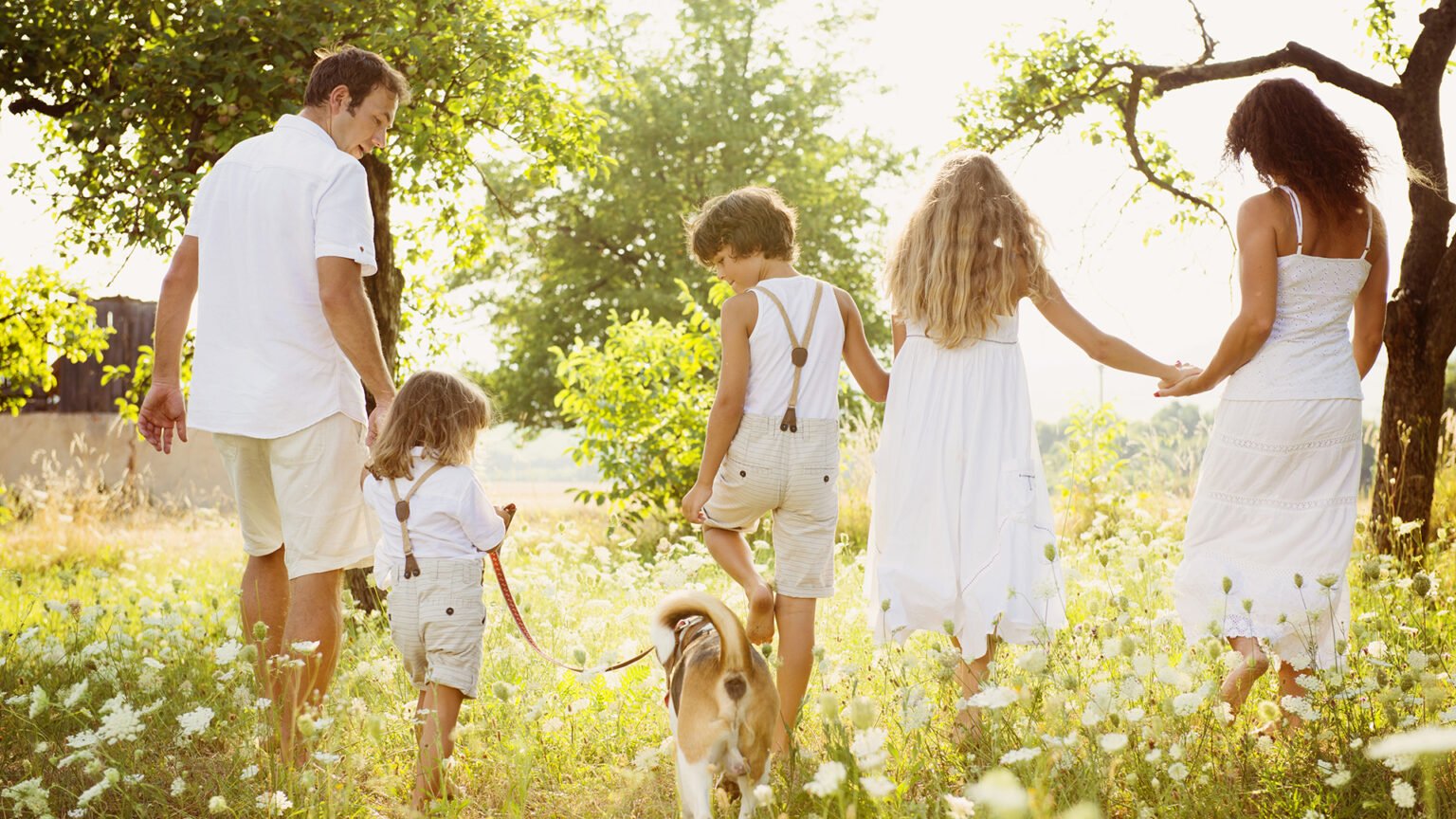 Top 10 Reasons Why Dogs Are Amazing!