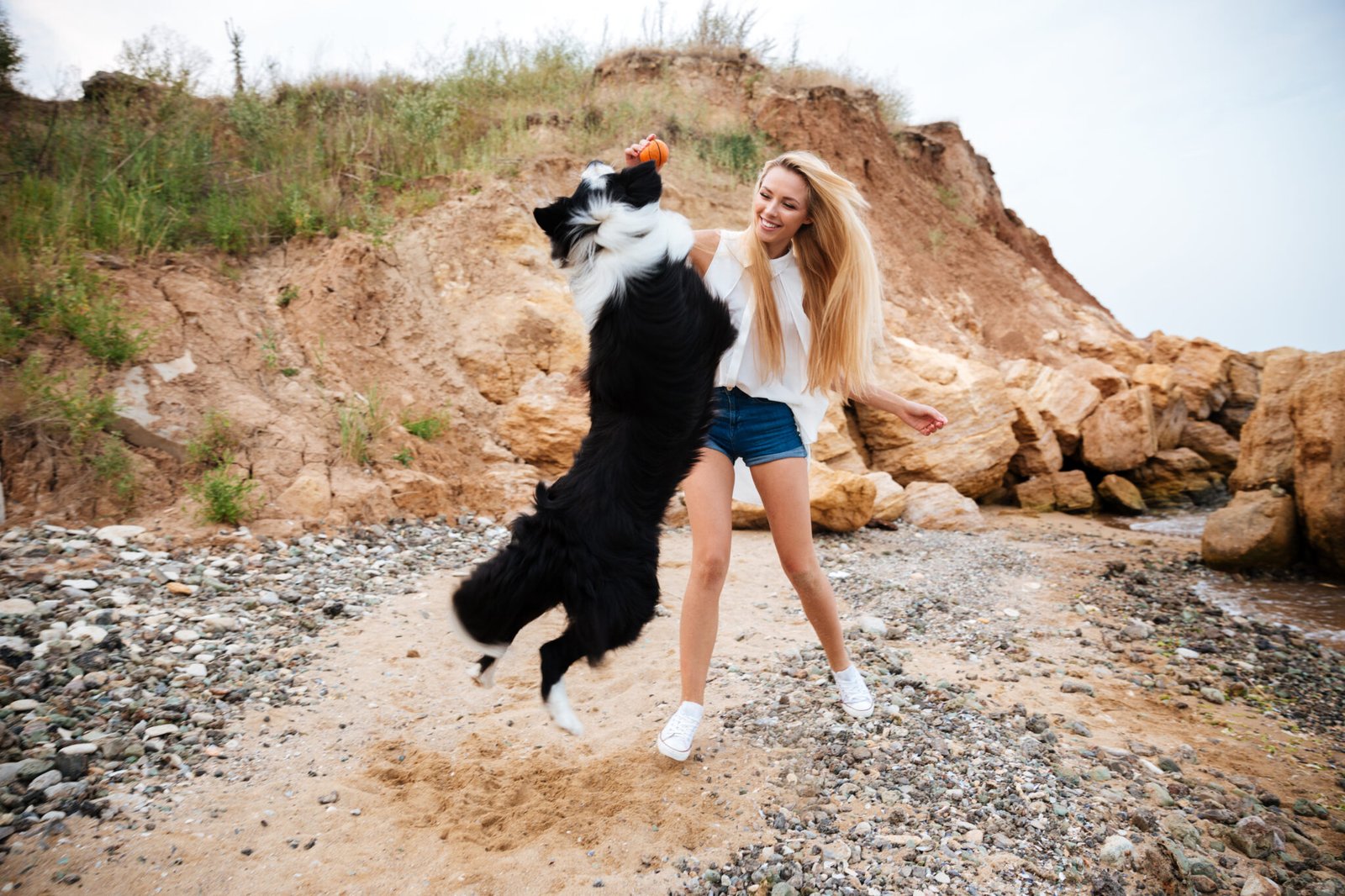 Top 10 Reasons Why Dogs Are Amazing!