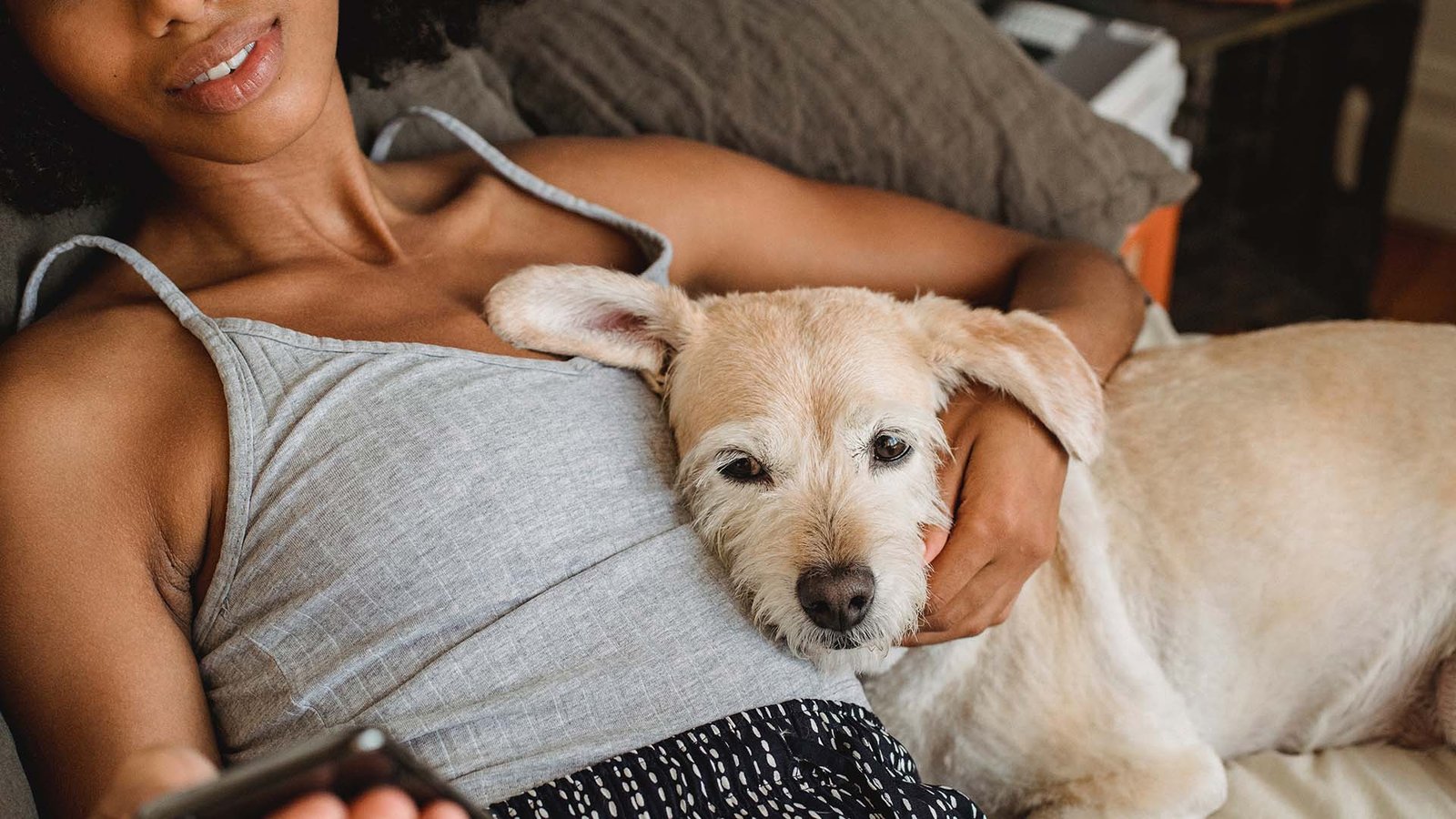 What Our Dogs Have To Say About Us
