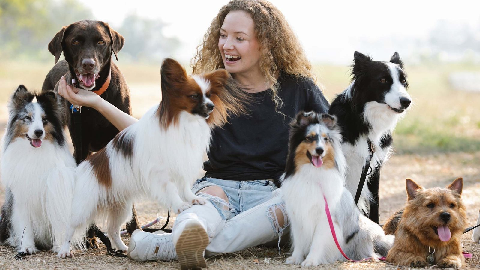 How To Pick The Perfect Playmate For Your Pet Dog